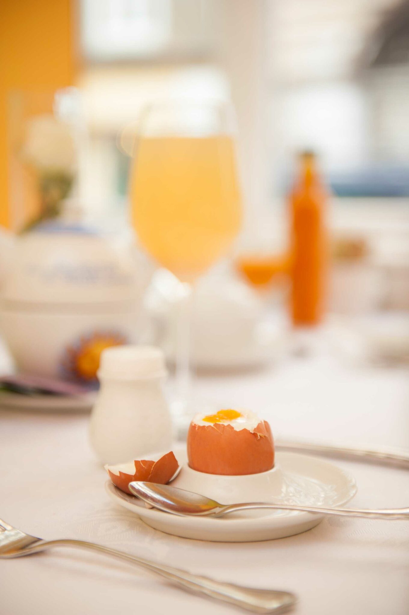 Spring time in Vienna! Romance in the city center!